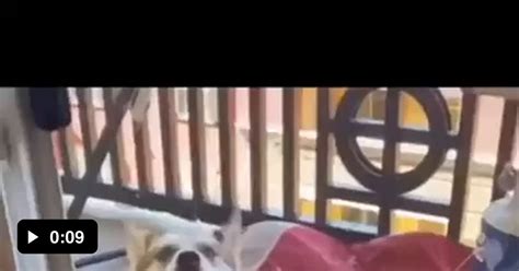 Tippy Tappy Tippy Tappy Tippy Tappy 9gag