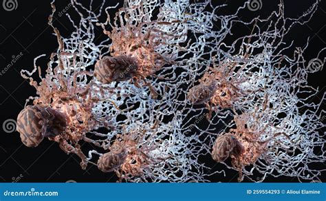 Peritrichous Bacteria With Lot Of Flagellum Bacteria With Tails