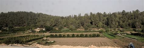 Passover Hallel Praise From A Land Of Abundance Koshercopy