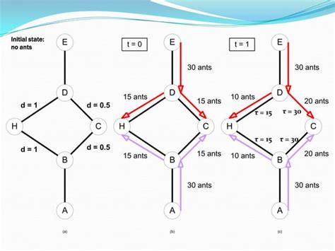 Ant Colony Optimization PPTX Computer Networking Computing