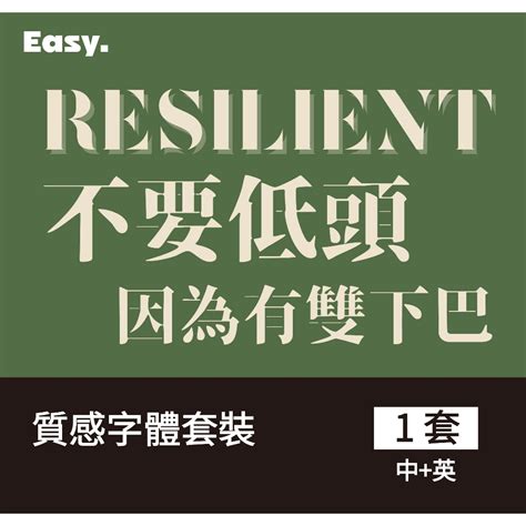 字體包繁體字體英文字體字型組合中英字體廣告貼文數位行銷簡報貼文提案CEF007 蝦皮購物