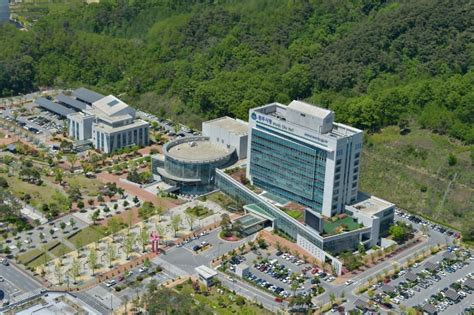 원주시 국립현대미술관 유치 공식 건의…중부권 문화 예술 거점 도약 네이버 블로그