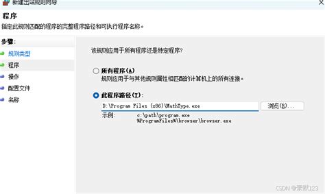 mathtype 6 9 停用弹窗，如何解决？ mathtype6 9 csdn博客