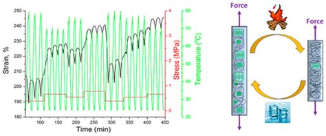 One Way Multishape Memory Effect And Tunable Two Way Shape Memory