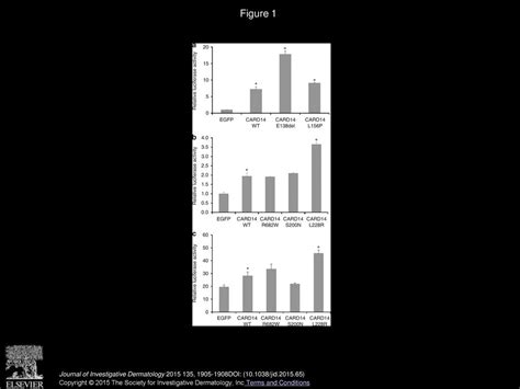 Analysis Of CARD14 Polymorphisms In Pityriasis Rubra Pilaris
