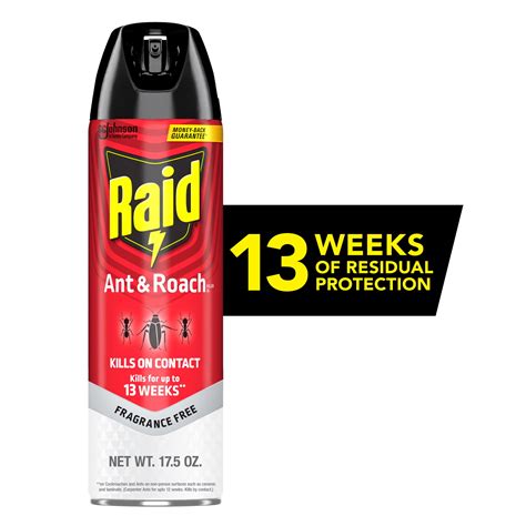 Raid Ant And Roach Insect Killer 17 5 Oz Bug Spray With Residual Action For Up To 6 Weeks