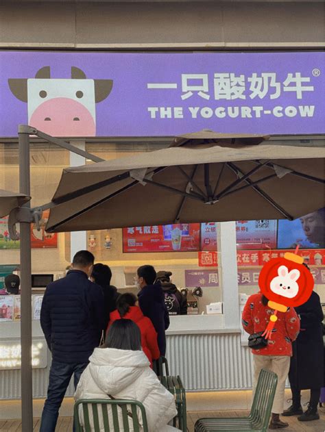 茉酸奶开店超500家、王子森林融资千万，为什么我说现制酸奶爆火却不是因为健康？ 知乎