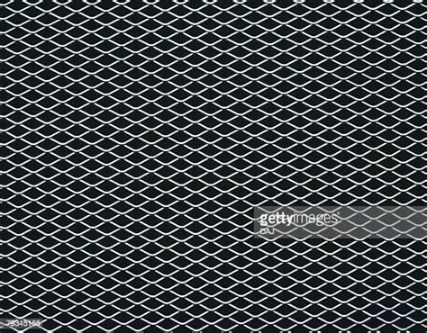 Reticulated Pattern Photos And Premium High Res Pictures Getty Images