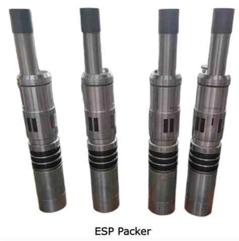 Oil Well Esp Wellhead Bypass System Bypass Plugs By Sanmon