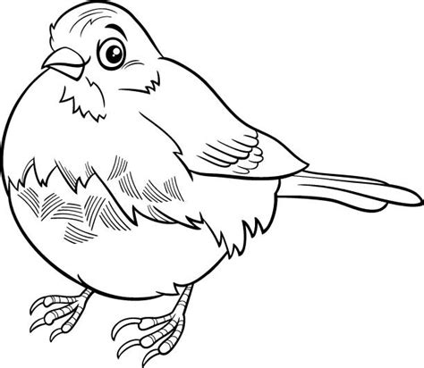 20 Junco Clip Art Stock Illustrations Royalty Free Vector Graphics