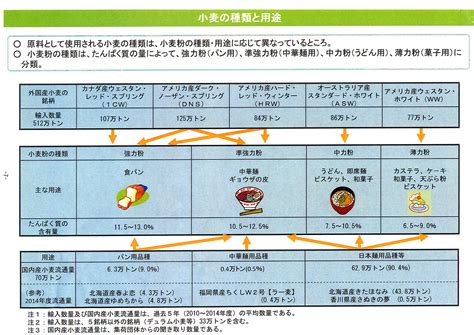 501 小麦粉について2つの質問・・・「小麦粉の種類」と「旨味成分」 木下製粉株式会社
