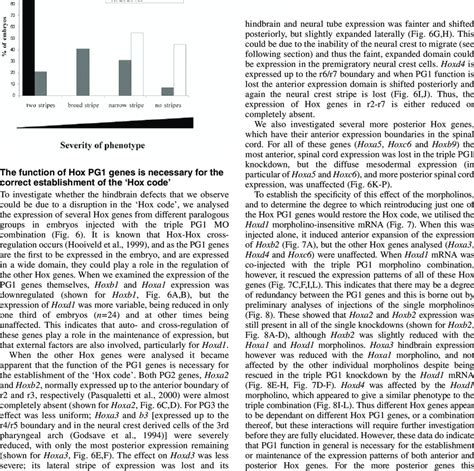 Hoxd1 Mrna Can Partially Rescue The Triple Pg1 Morpholino Phenotype