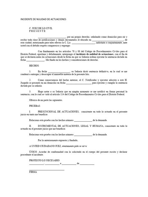 Incidente De Nulidad De Actuaciones Pdf