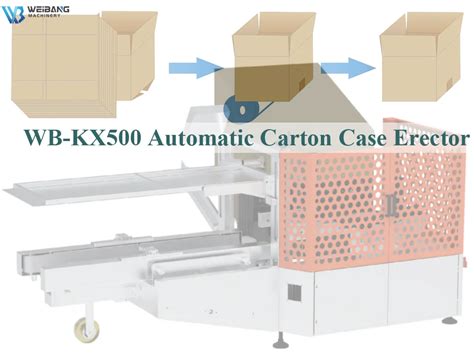 automated robotic palletizing system robotic case packer palletizer