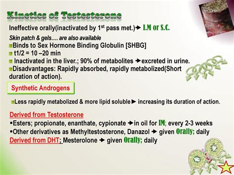 DRUGS USED IN MALE INFERTILITY Ppt Download