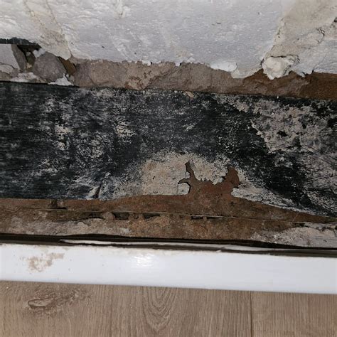 Damp Patch Diynot Forums