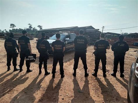 PF deflagra operação para combater desmatamento ilegal nos estados de