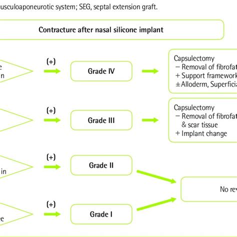 Distribution Of Nasal Capsular Contracture By Grade Download