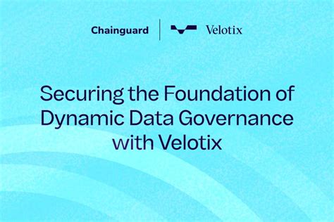 Datasecurity Infosec Cloudsecurity Datagovernance Velotix
