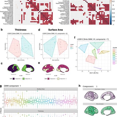 Clustering Of Cortical And Biochemical Correlation Profiles A Heatmaps Download Scientific
