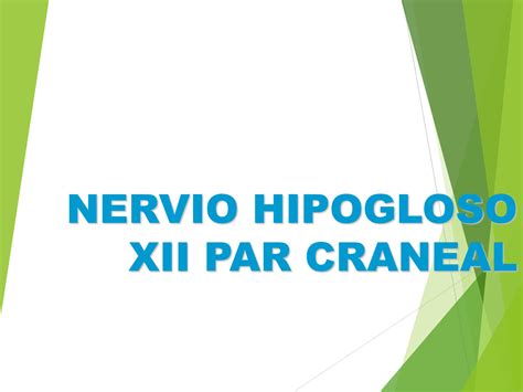 SOLUTION 12 Anatomia Del Nervio Hipogloso Studypool