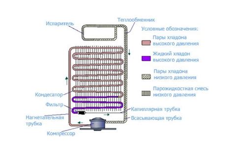 Капельный холодильник или Ноу Фрост: какой лучше, отличие, отзывы ...