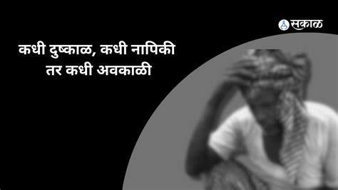 Maharashtra Farmers महाराष्ट्रात चाललंय काय तब्बल 1300 शेतकऱ्यांनी