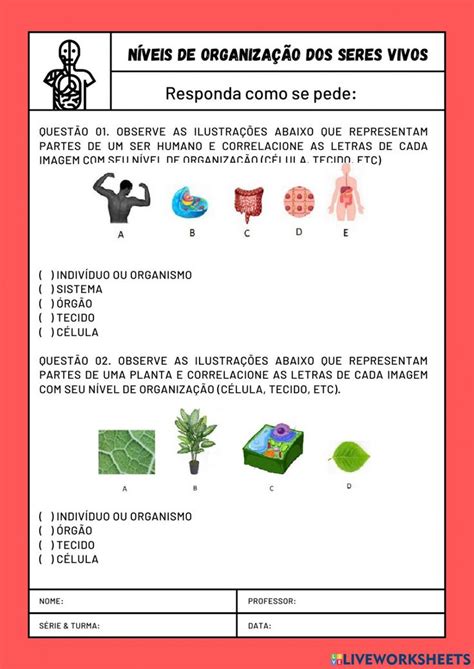Níveis de organização dos seres vivos interactive worksheet