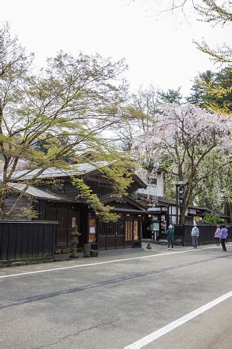 가 쿠 노다 테 아키타 4 월 27 일 토 호 쿠 일본의 사무라이 지구 2018tourists 봄에서 주택 체리 Trees