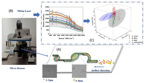 A Method For Capture And Detection Of Crop Airborne Disease Spores Based On Microfluidic Chips
