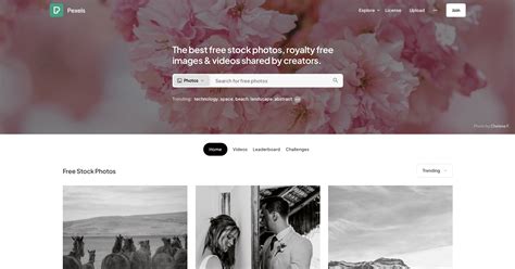 how to use the pexels api to randomize images with bannerbear bannerbear