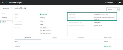Getting Anypoint Monitoring To Work With Mule Runtime On A Mac