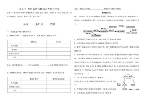 [生物]基因表达与性状的关系导学案 2023 2024学年高一下学期生物人教版 2019 必修2 学案下载预览 二一课件通