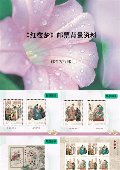红楼梦背景资料ppt模板下载编号lmbaywxm熊猫办公
