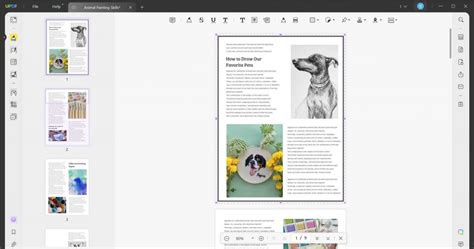How To Add Border To PDF With Without Adobe UPDF