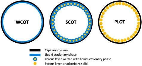 Capillary Column In Gas Chromatography Gc