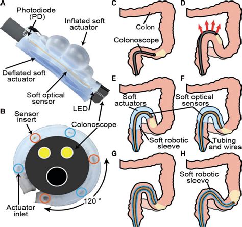 Figure 1 From A Review On Model Based And Model Free Approaches To