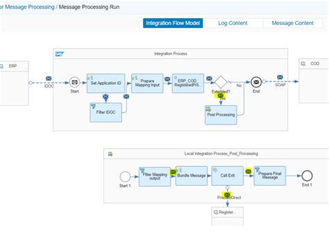 Sap Cpipipo Expert With Abap Hr Proficiency Upwork
