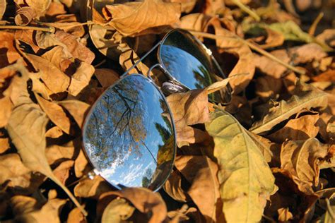 Fall Sunglasses For Her X Wear — X