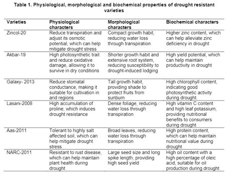 Table Physiological Morphological And Biochemical Properties Of