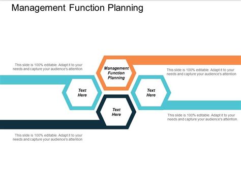 Management Function Planning Ppt Powerpoint Presentation Pictures Grid Cpb