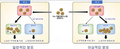 이달의 과기인상 종양만 잡는 나노 약물전달시스템 선보여 서울경제