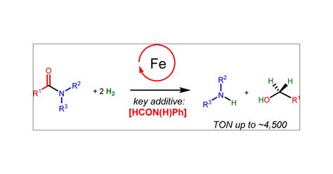 Selective Iron Catalyzed Deaminative Hydrogenation Of Amides