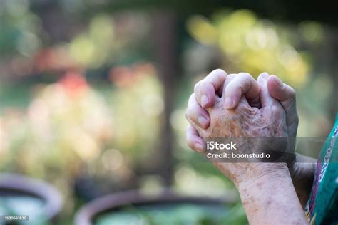 정원에 서 있는 동안 한 노인 여성의 손이 합쳐진 클로즈업 긍정적인 감정 표현에 대한 스톡 사진 및 기타 이미지 긍정적인 감정 표현 노인 대기 Istock