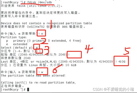Linux中对磁盘的常规处理。分区、格式化、挂载linux系统挂载硬盘可以不格式化吗 Csdn博客