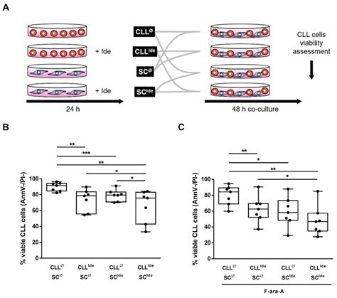 Idelalisib Overcomes Sc Mediated Cll Cell Protection Bilaterally