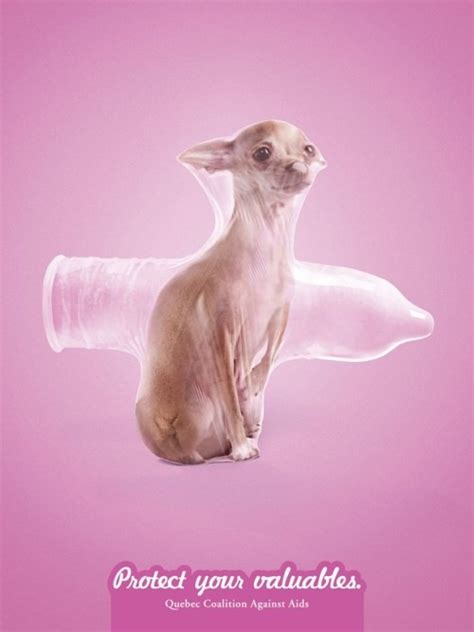 The Arab Aquarius Cutesy Safe Sex Psa Ads
