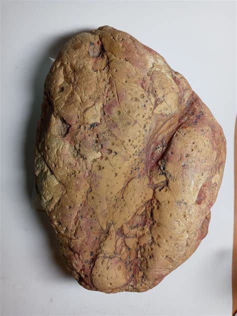 《화성 운석의 색상》 그럼 실제로 화성 운석은 어떤 색인가 화성의 색상은 산화철로 덮여 있기 때문에 주황색과 빨간색 입니다 화성 운석의 한국운석 발견 Korean