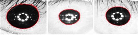 some correct pupil localization results [52] download scientific diagram