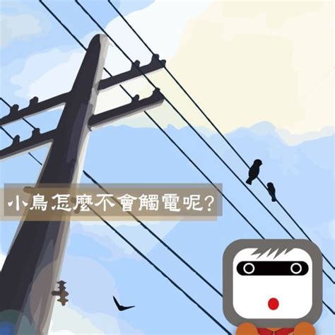 台灣電箱 電線桿上總會標示著「高壓電危險」的警語，為什麼小鳥站在電纜上卻不會觸電呢電箱人今天就要來揭開其中的原理